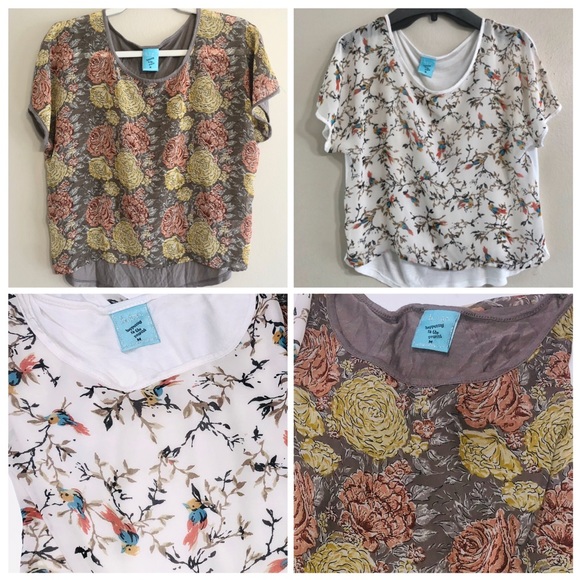 h.i.p. | Tops | Hip Semi Sheer Boxy Tops M Novelty Print Birds Floral ...